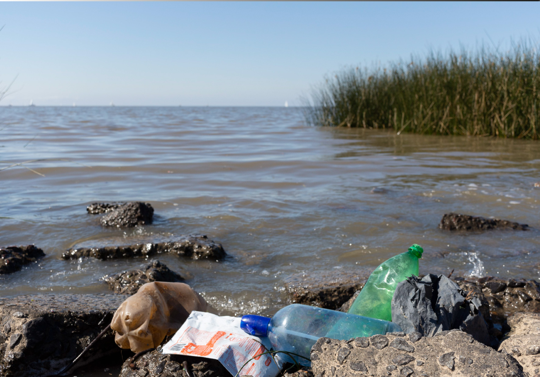 DOCENTE DE LA ESCUELA DE POSGRADO DE NORBERT WIENER ADVIERTE QUE LA ...